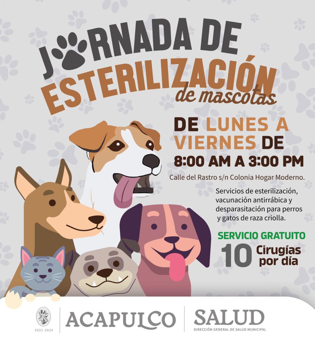 Mantiene Gobierno de Acapulco campañas para el bienestar animal » Gaceta25