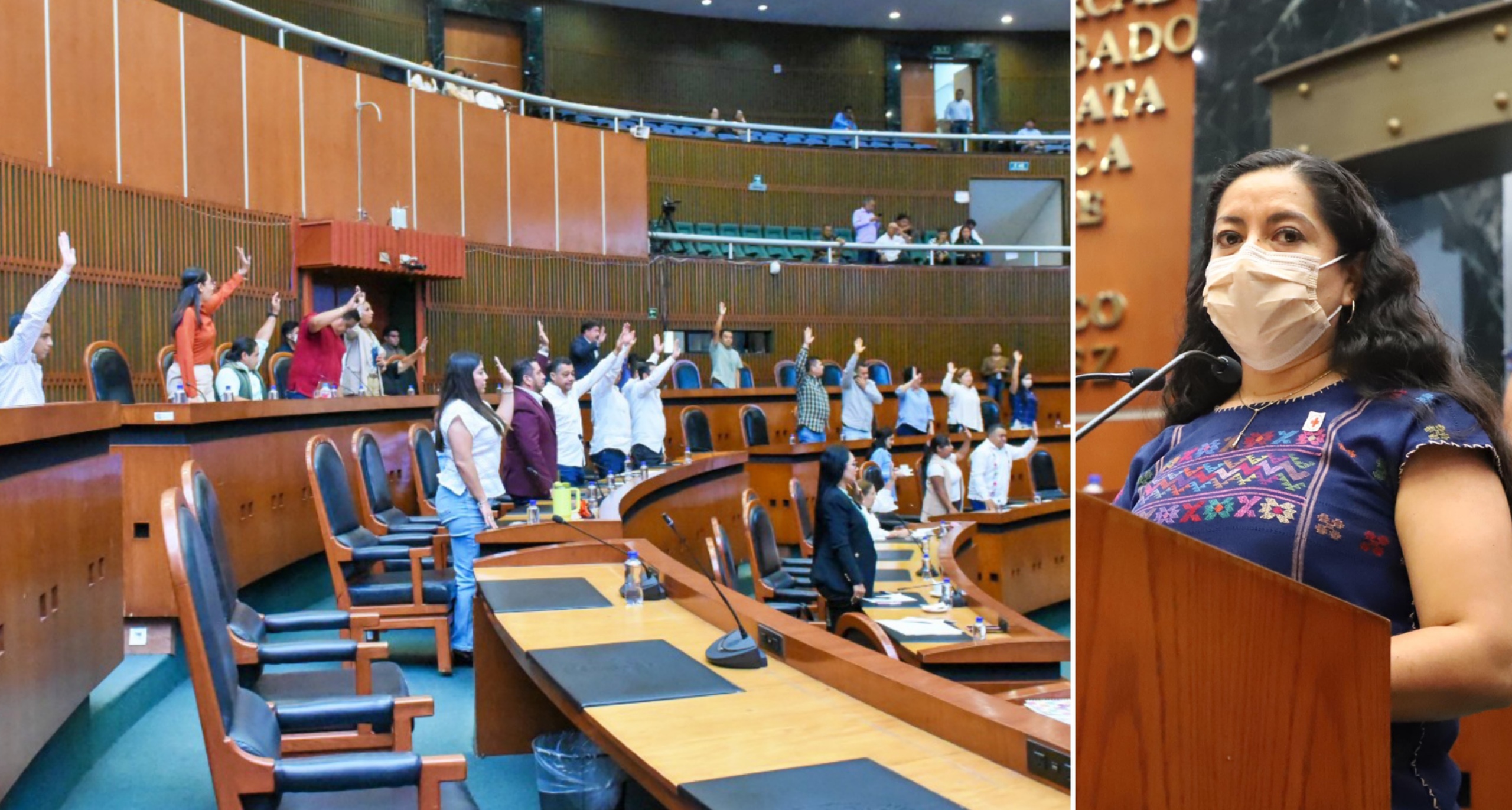 EXHORTA EL CONGRESO DEL ESTADO A ATENDER PLAGAS EN ESCUELAS DE ...